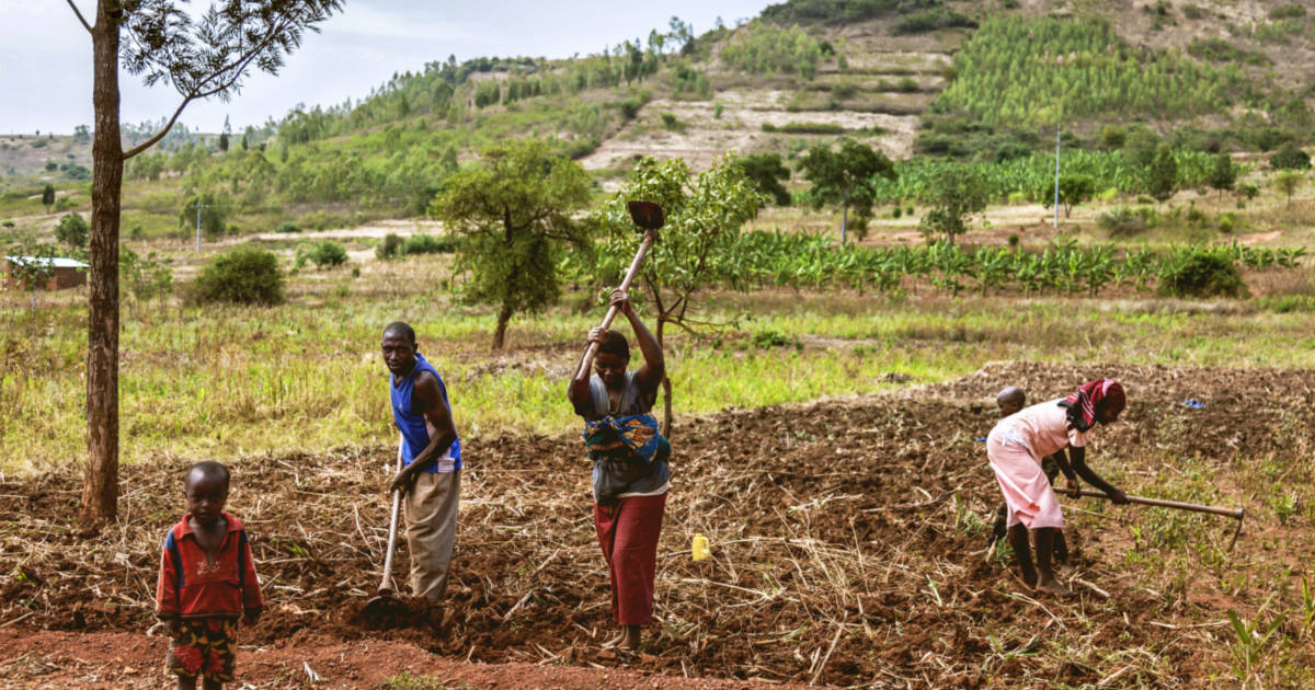 Land Rush and local livelihoods in Central Africa – European ...